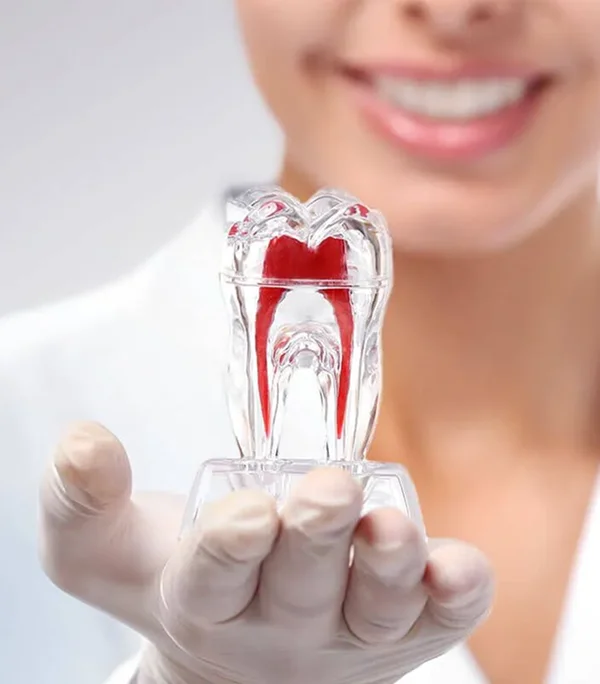 Straumann Implants in Delhi, India | Certified Provider & Cost