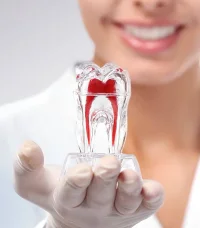 Straumann Implants in Delhi, India | Certified Provider & Cost
